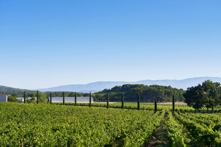 Chateau La Coste UK